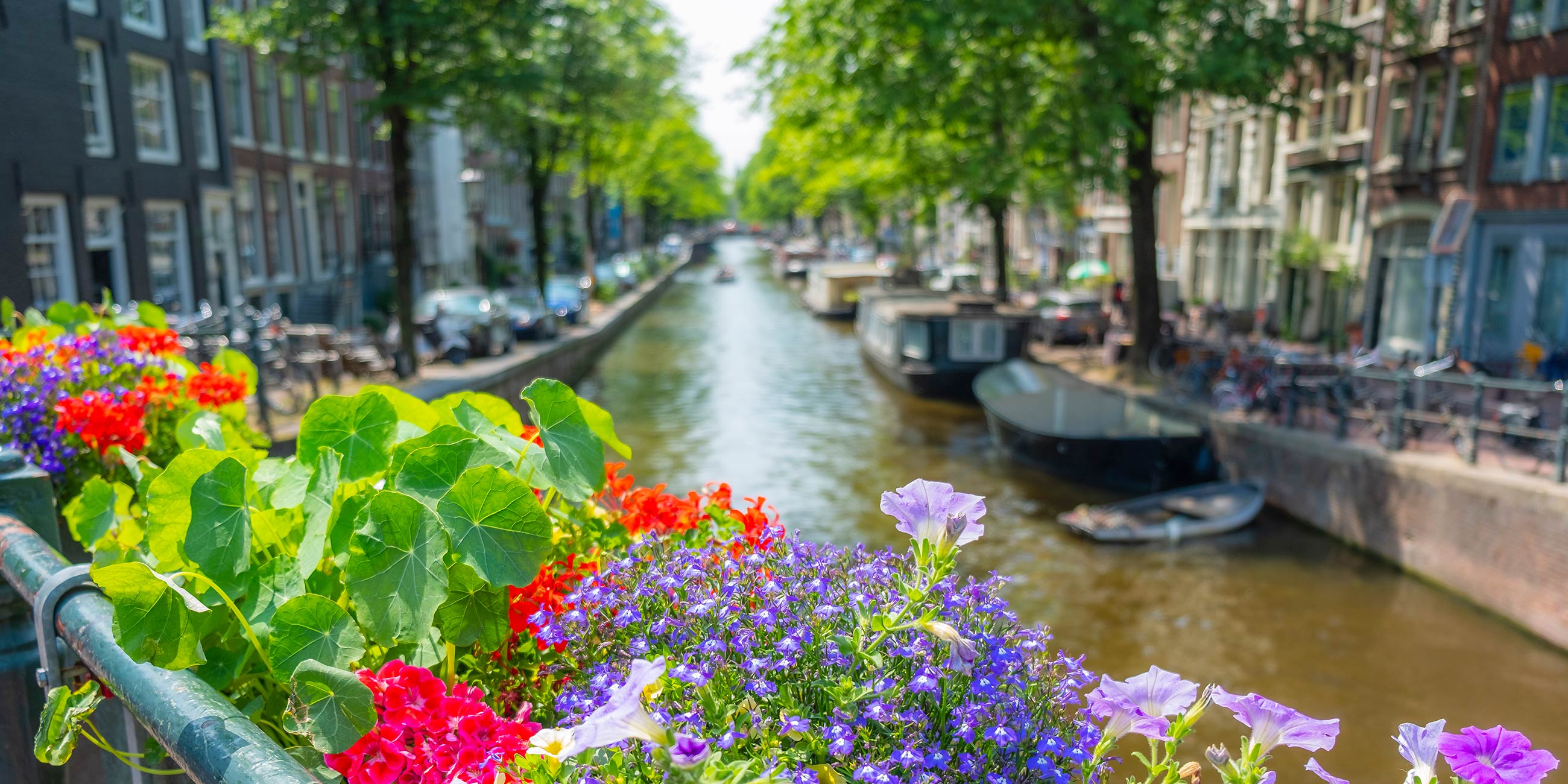 Netherlands Tours & Netherlands Travel Guide | Trafalgar US