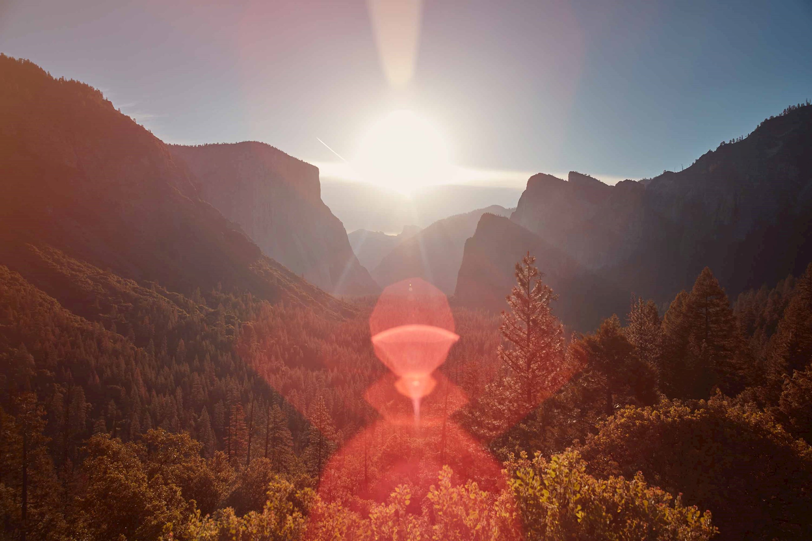 California's Great National Parks Tour 2023 | Trafalgar