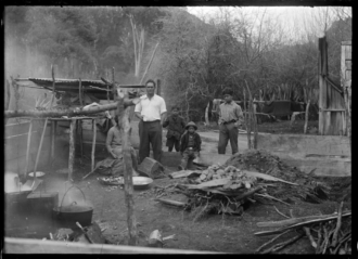 What is Hangi., the traditional Maori cooking technique?