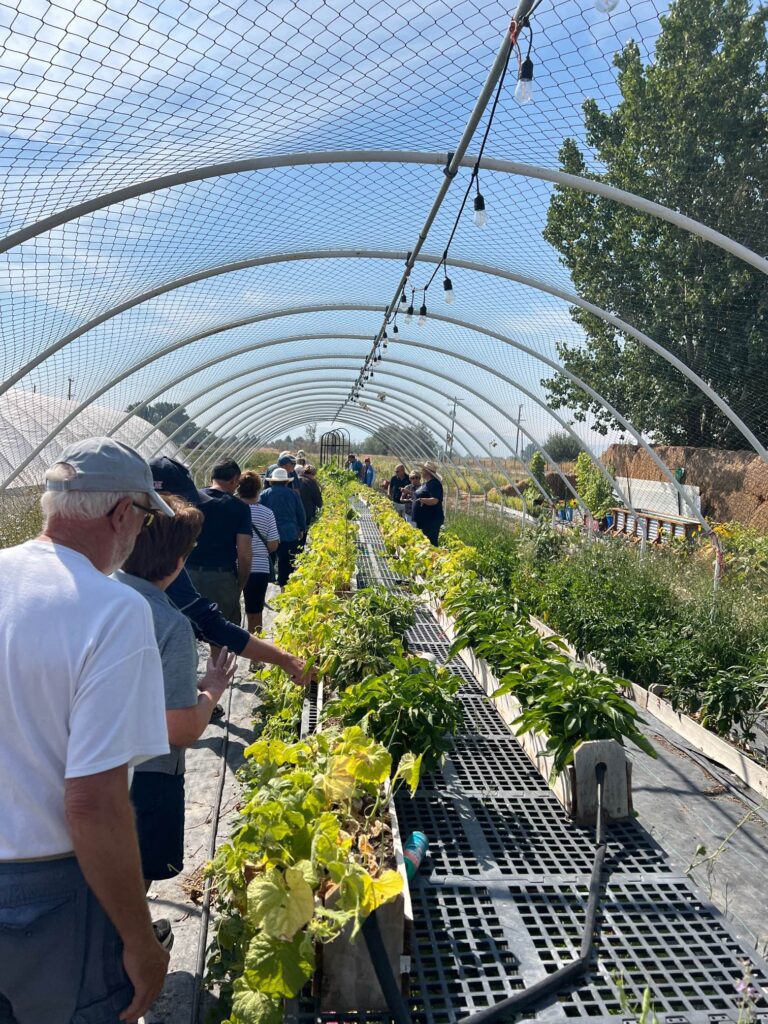 Discover Swore Farms and its homegrown food in Idaho, USA