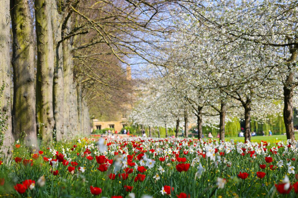 Essential items to pack for a UK trip in any season