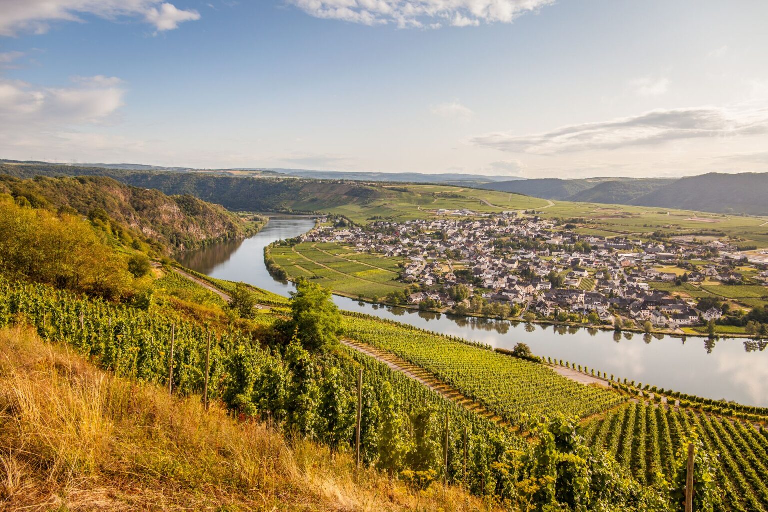 Top 10 facts about the Rhine River that will surprise you - Real Word