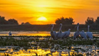 14 Best Places to Visit in Romania - REAL WORD